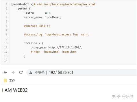 干货！nginx实现虚拟主机方式及反向代理 知乎