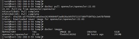 Container Deployment With Openeuler Wiki Openeuler