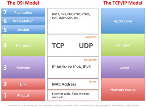 The Tcp Ip Family Of Internet Protocols Bioinformatics Web Development