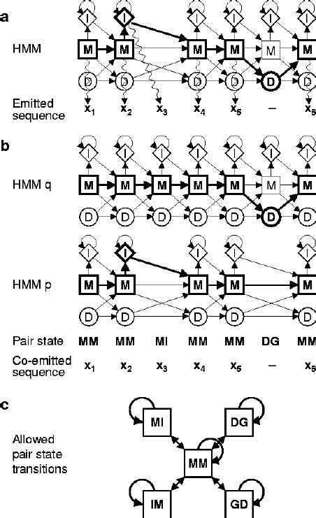 A The Alignment Of A Sequence To A Profile Hmm Can Be Represented By Download Scientific