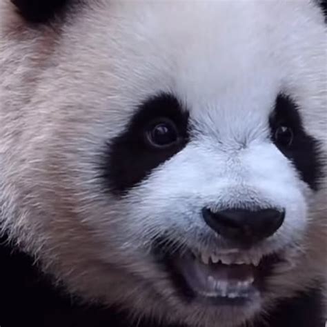 Jin Jin Kiki039 • Threads Say More