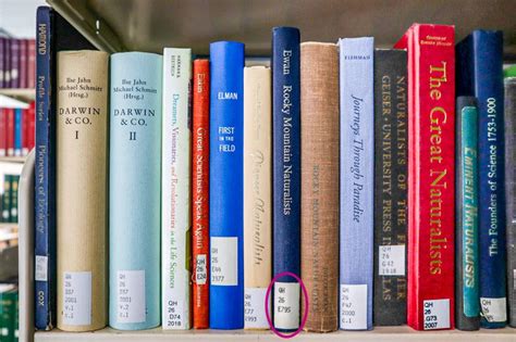 Notation Types Objectives Function Criteria Enlightenknowledge