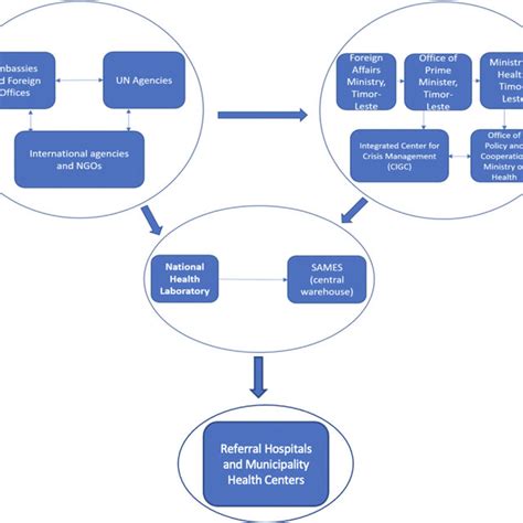Schematic Flow Of External Support And Coordination Work To Assist The