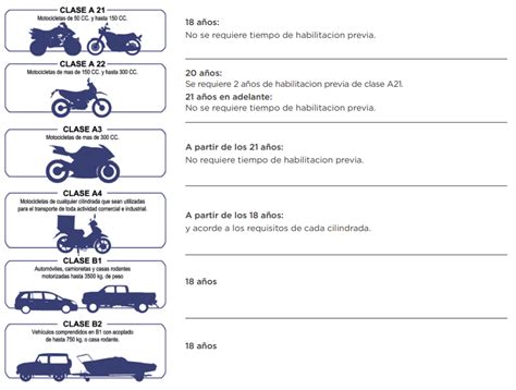 Licencias De Conducir Municipalidad De Rold N