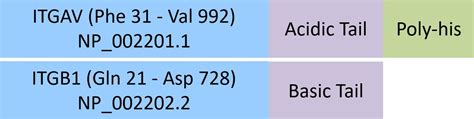 Human Integrin Alpha V Beta 1 Itgavanditgb1 Heterodimer Protein His