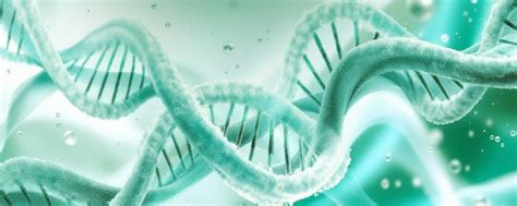 Denagenetajhiz Co Лабораторное оборудование Производитель лабораторного оборудования для