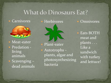 What Meat Did Dinosaurs Eat At Justin Northcote Blog