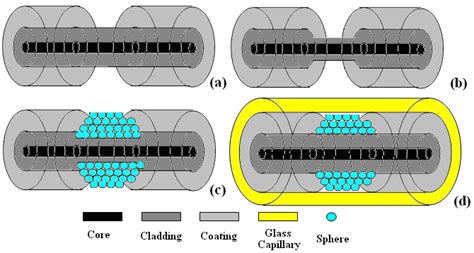 A Removed The Coating B The Cladding Of Fiber Was Corroded C