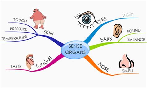 Different Types Of Sensor Used In Industrial World The Automization
