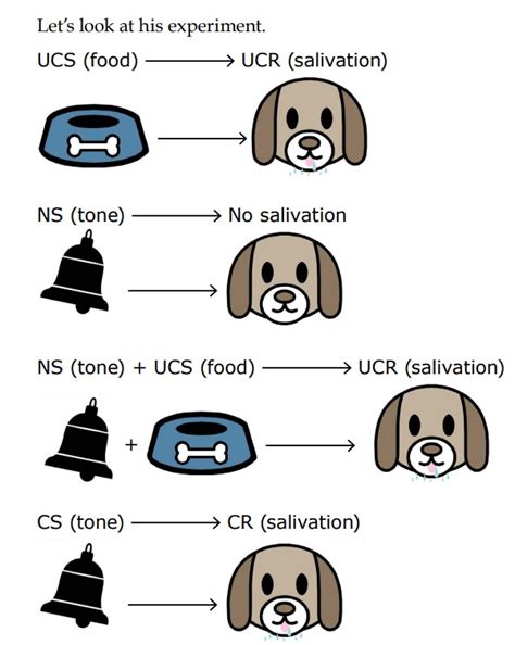 Classical Conditioning Its Theory Application And Criticism In Detail Mapc Practical