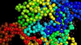 Share Your Science Visualizing Protein Structures With High