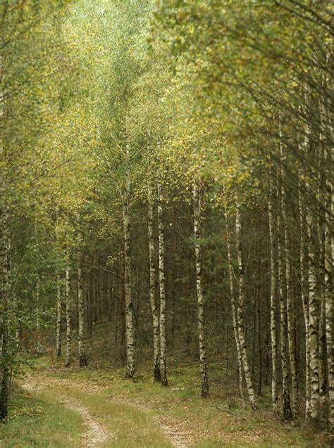 Le 4 000 Migliori Foto Di Grossi Cazzi · Download Gratuito Al 100