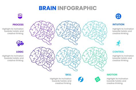 Premium Vector Infographics Vector Brain Design Vector Illustration