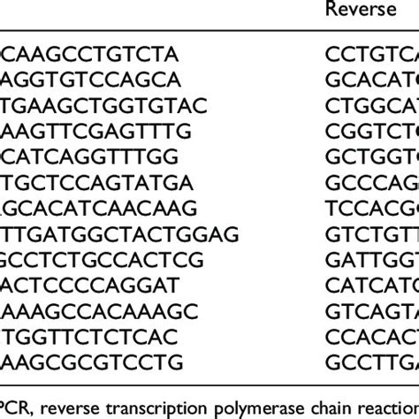 Mouse Primer Sequences Used For Real Time RT PCR Download Table