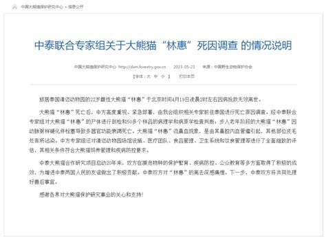 旅泰大熊猫“林惠”死因公布管理死亡双方