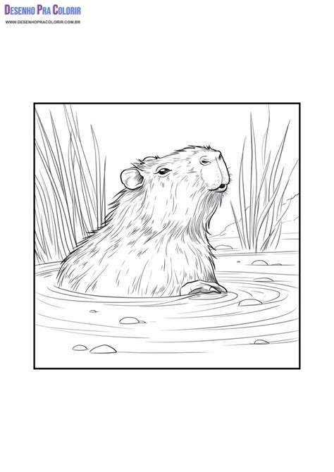 Capivara Para Colorir De 40 Desenhos Para Imprimir E Pintar