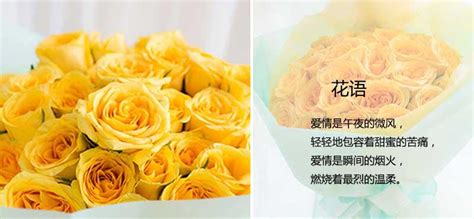 黄玫瑰花语花植网