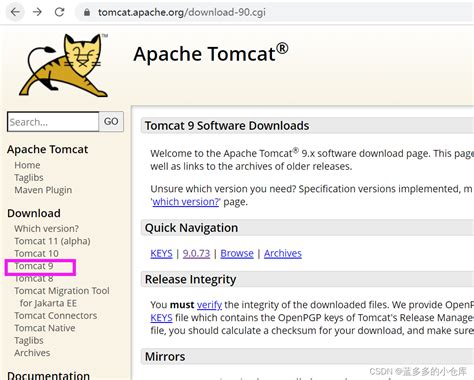 阿里云服务器使用教程CentOS 安装JDK及Tomcat以jdk tomcat 为例