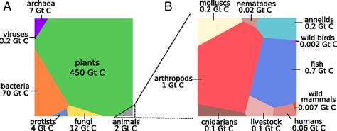 Solved Figure 1 Use Figure 1 To Answer 1a 1d 1a Look At Chegg Com