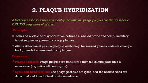 Screening Methods For Clone Identification Pptx Screening Methods For Clone Identification Pptx