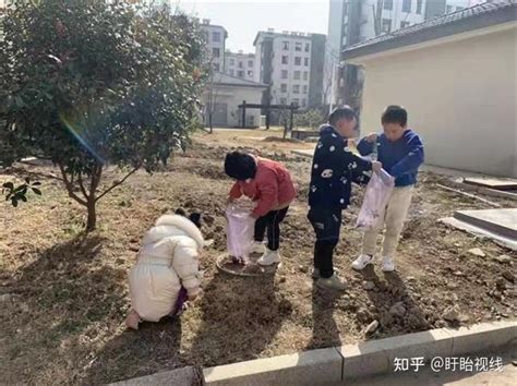 学习雷锋精神，争做小小志愿者——盱眙县维桥乡中心幼儿园开展“学习雷锋精神，争做小小志愿者”主题教育活动 知乎
