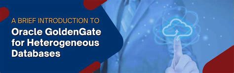 A Brief Introduction To Oracle Goldengate For Heterogeneous Databases