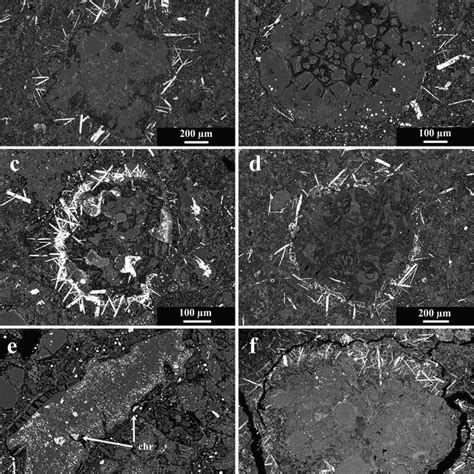 Conel Alexander Researcher Phd Carnegie Institution For Science