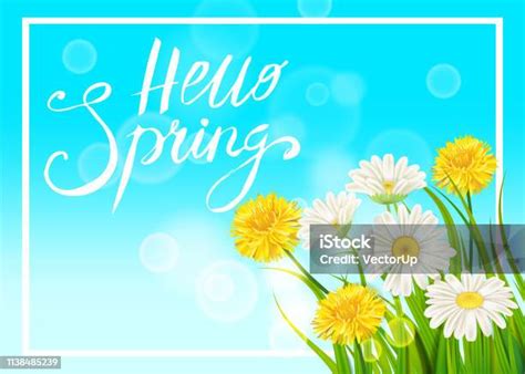안녕하세요 봄 데이지 Chamomiles 민들레 육즙 녹색 손으로 그리는 레터링 배너 웹 전단지 봄 잔디 배경 템플릿입니다 고립 된 벡터 일러스트입니다 개념에 대한 스톡