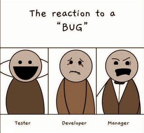 Codeswidget Infotech On Linkedin Bugs Testers Developers Managers Qaengineer