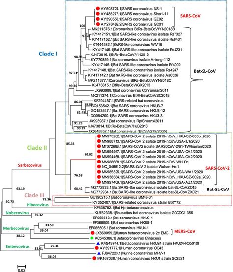 The Phylogenetic Tree Generated For The Sars Cov 2 Complete Genome Download Scientific Diagram