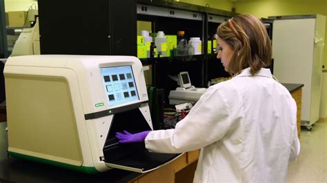 Multiplex Western Blot At Lawrence Henry Blog