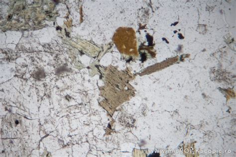 Biotite Thin Section Phyllosilicates Microckscopic