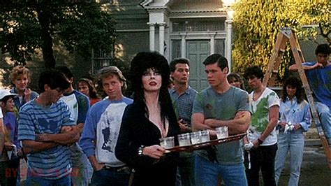 Elvira Mistress Of The Dark  Wiffle