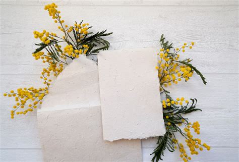 밝은 회색 배경에 빈티지 베이지 색 종이와 미모사 꽃에 플랫 레이 탑 뷰 구성 빈 카드와 봉투 예술을 표시하는 개념 봄 휴가