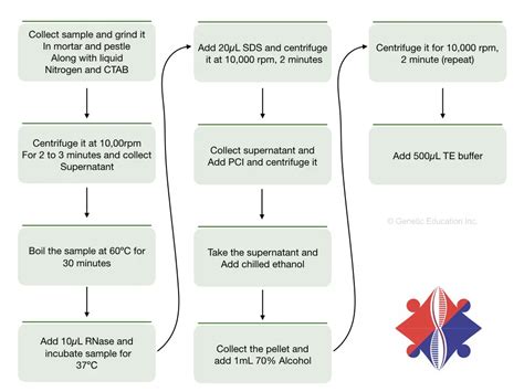 Plant Dna Extraction Using Ctab Buffer
