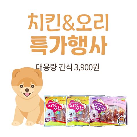 나우픽 하늘은 높고 강아지는 살찌는 계절 내몸무게는왜 그래같이찌자