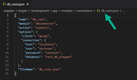 Edit Database Connection Not Saving Properly Bugs Wappler Community