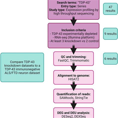 Study Selection And RNA Seq Data Processing Pipeline RNA Seq Datasets Download Scientific