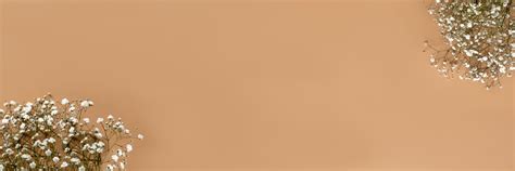 베이지 색 배경 상단 보기 평평한 평지에 흰색 석고 꽃 배너 텍스트 공간 0명에 대한 스톡 사진 및 기타 이미지 0명 공휴일 꽃 식물 Istock