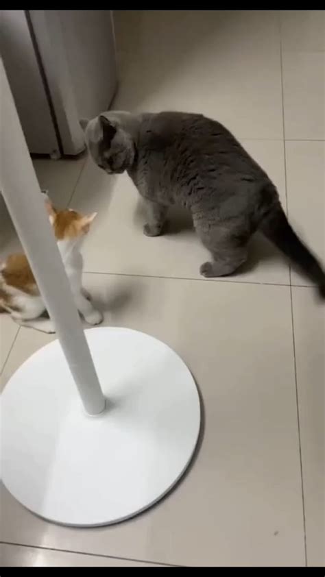 Bad Calculation Ranjodelco