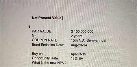 Solved Net Present Value Chegg