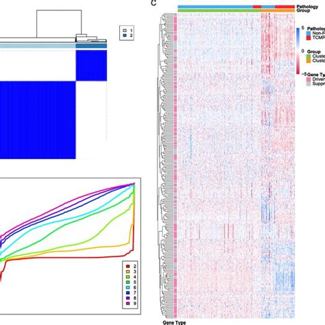 A Matrix Heatmap Of Consensus Clustering Based On Ferroptosis Related