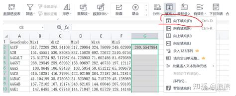 Excel 公式快速填充下拉方法（wps表格） 知乎