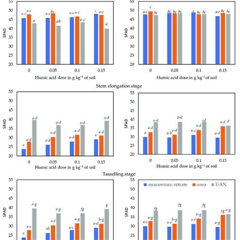 Spad Index In Maize Zea Mays L Vegetation Stages Of The 5th Leaf