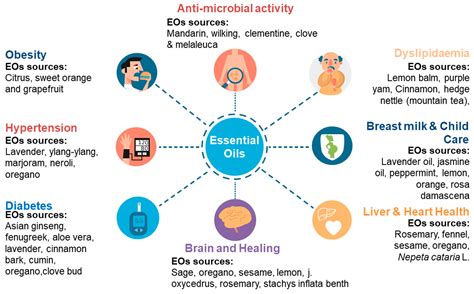 Molecules Free Full Text A Status Review On Health Promoting Properties And Global
