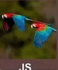 HTMLCSS和JavaScript分别是什么有什么作用