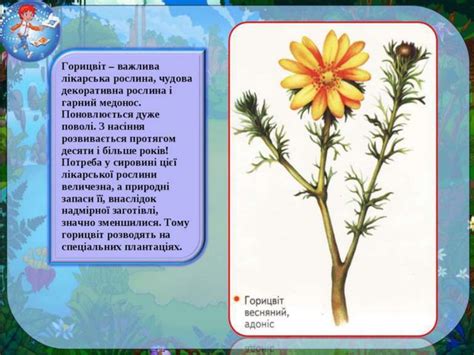 Тварини та рослини Червоної Книги України презентация онлайн