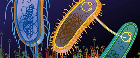 Microbial Sex Rapidly Disseminates Ecologically Important Genes