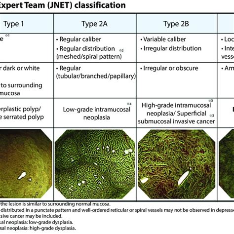 Pdf The Diagnostic Performance Of Jnet Classification For