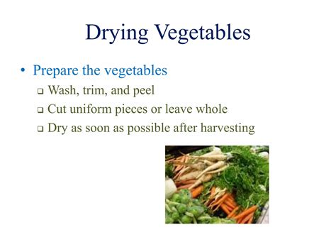 Drying And Dehydration Of Fruits And Vegetables Pdf